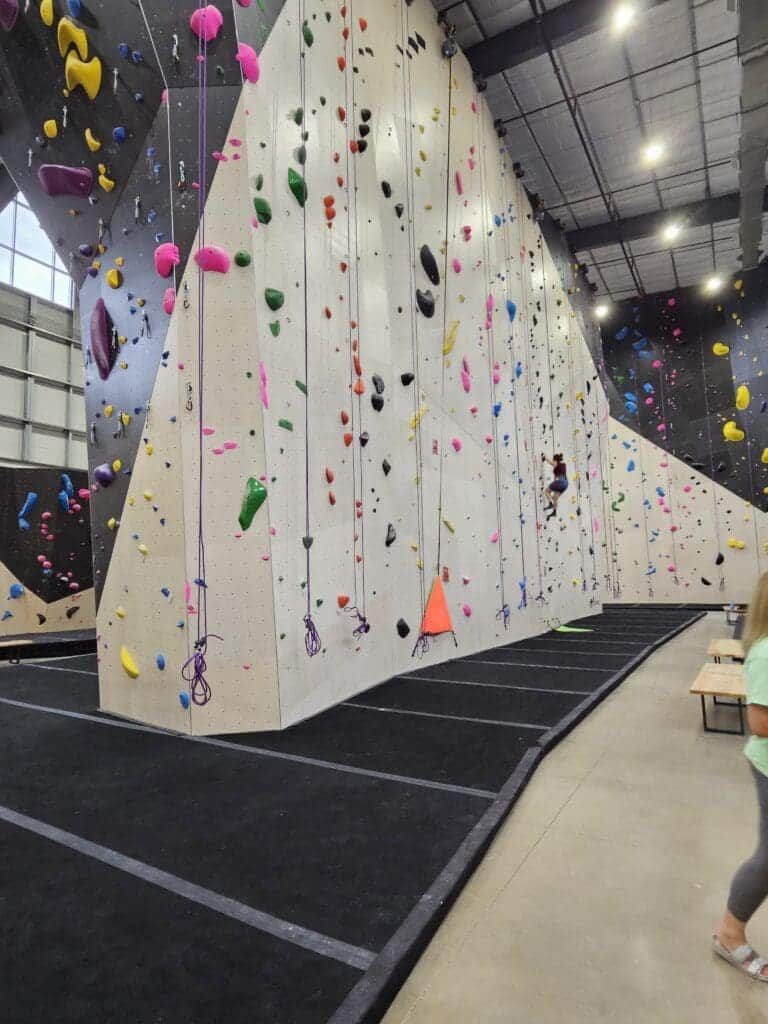 Homepage - Coliseum Central - The Center Of It All