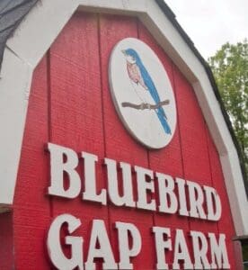 Bluebird Gap Farm - Coliseum Central - The Center Of It All